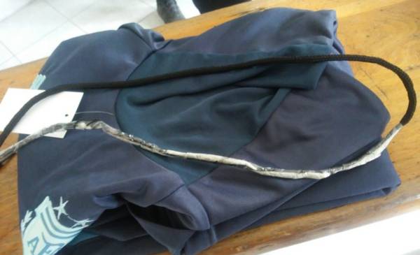 Encontraron una sustancia presuntamente prohibida entre la ropa para un ...